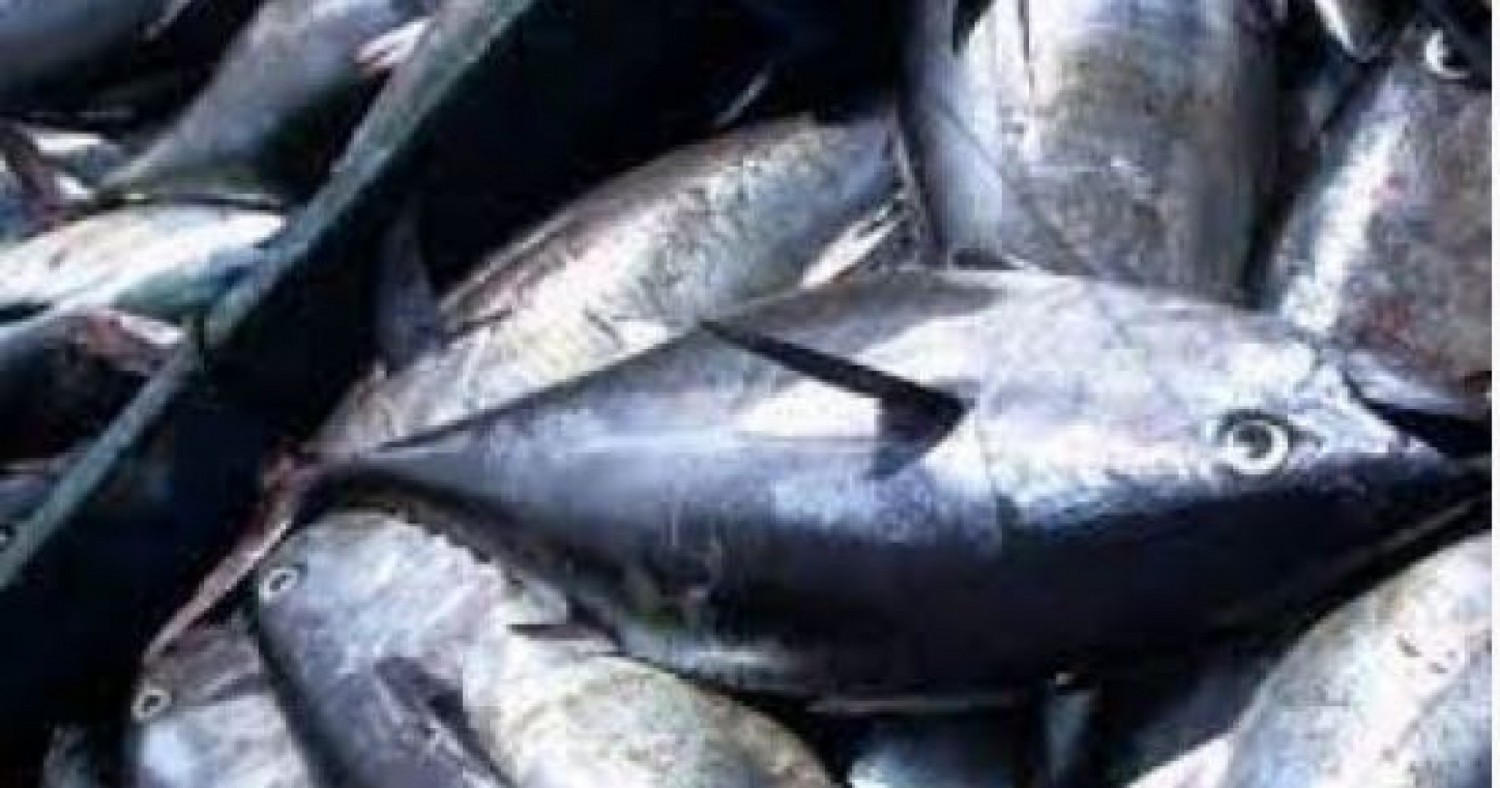 Côte d’Ivoire : les mareyeurs encouragent le Gouvernement à appliquer ...